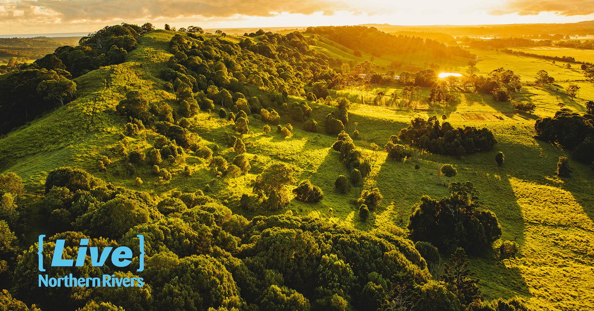 News | Live Northern Rivers